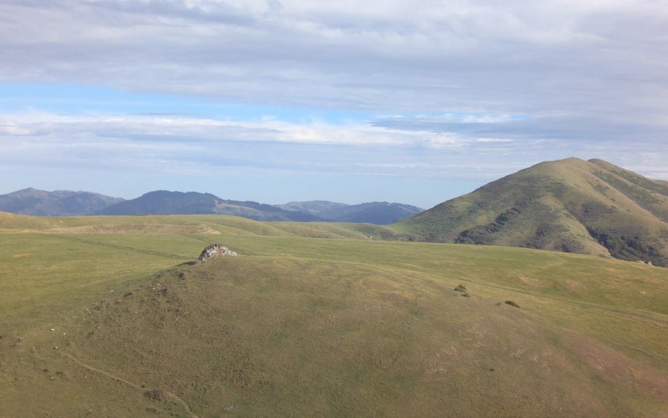 Martinelli Ranch | Peter Maselli