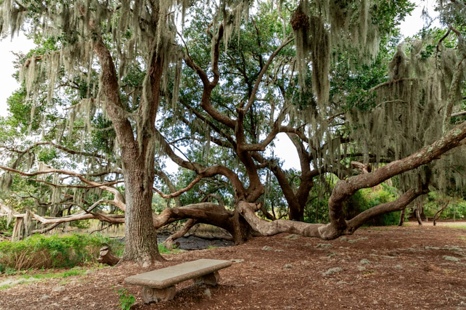 Charleston County Parks | chsestates.com