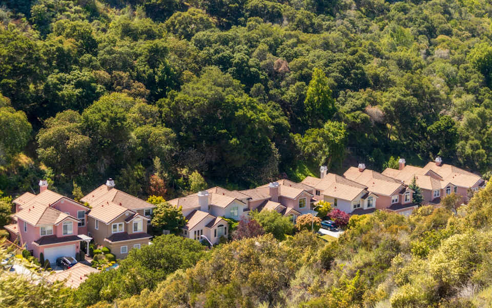 Belmont | Community Guide