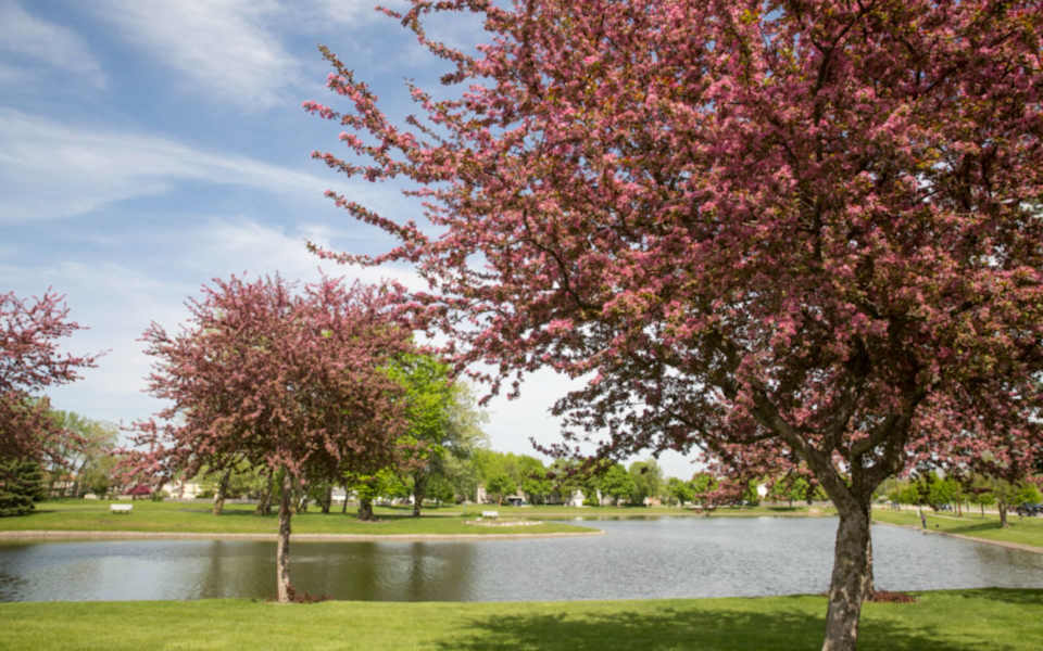 Buffalo Grove | Neighborhood Guide