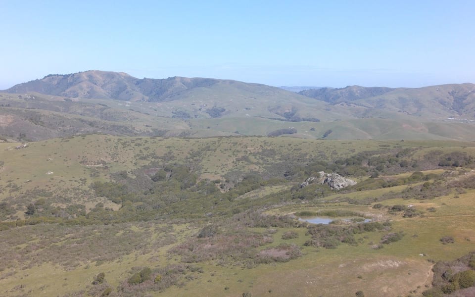 Martinelli Ranch | Peter Maselli