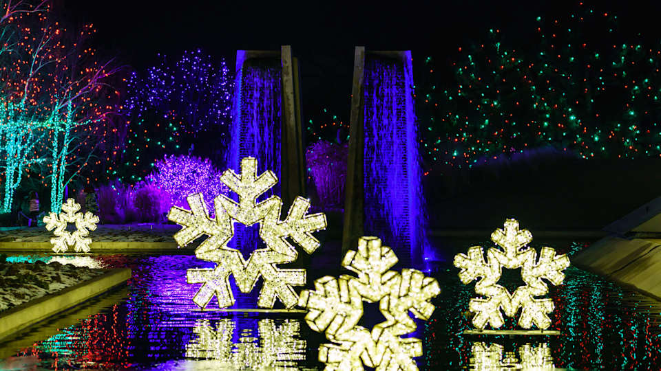 L’Esprit de Noël Holiday Home Tour Highlights One of Denver’s Best ...