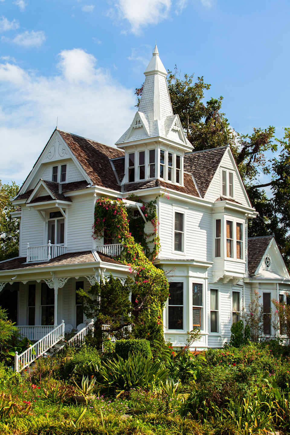 The Heights | Neighborhood Guide