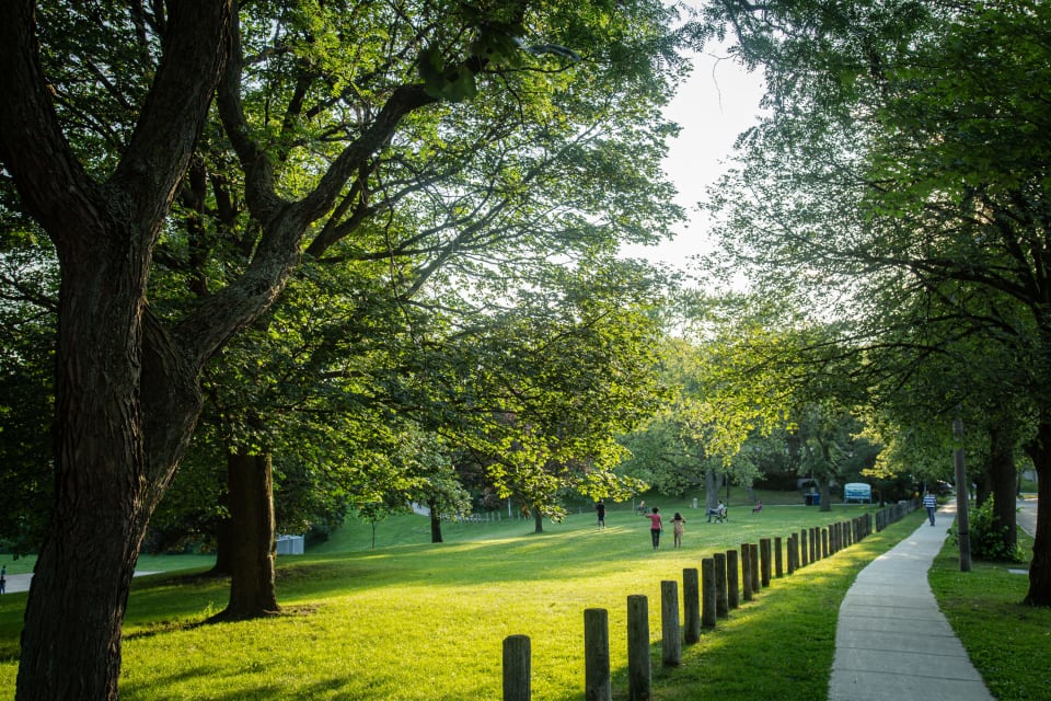 Henry Farm | Neighbourhood Guide | Davor Filipovic