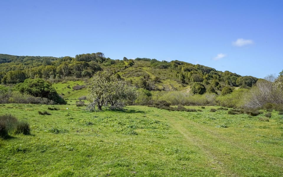 Martinelli Ranch | Peter Maselli