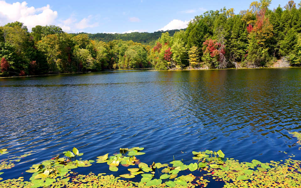 Hardin Valley | Community Guide