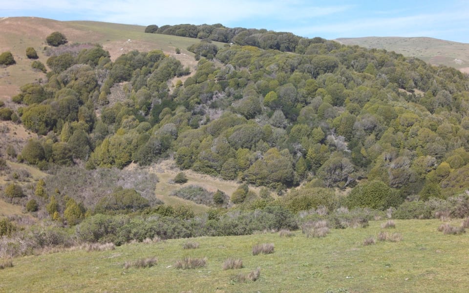 Martinelli Ranch | Peter Maselli