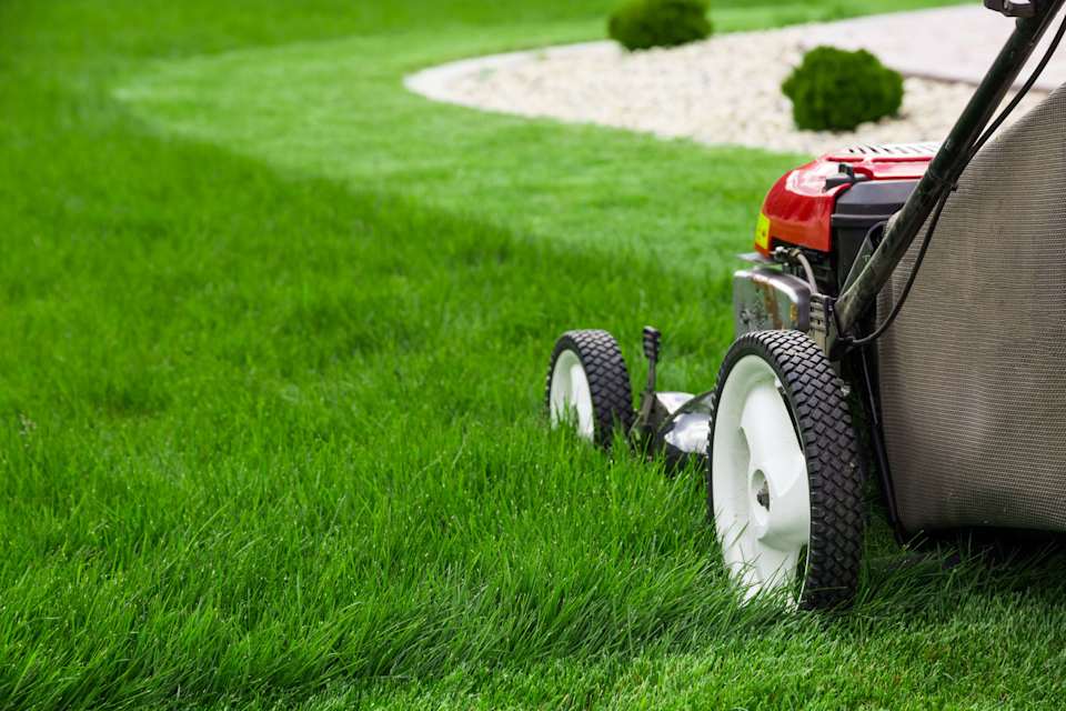 Get a Thicker, Greener Lawn with Scalping | Ohlig Group