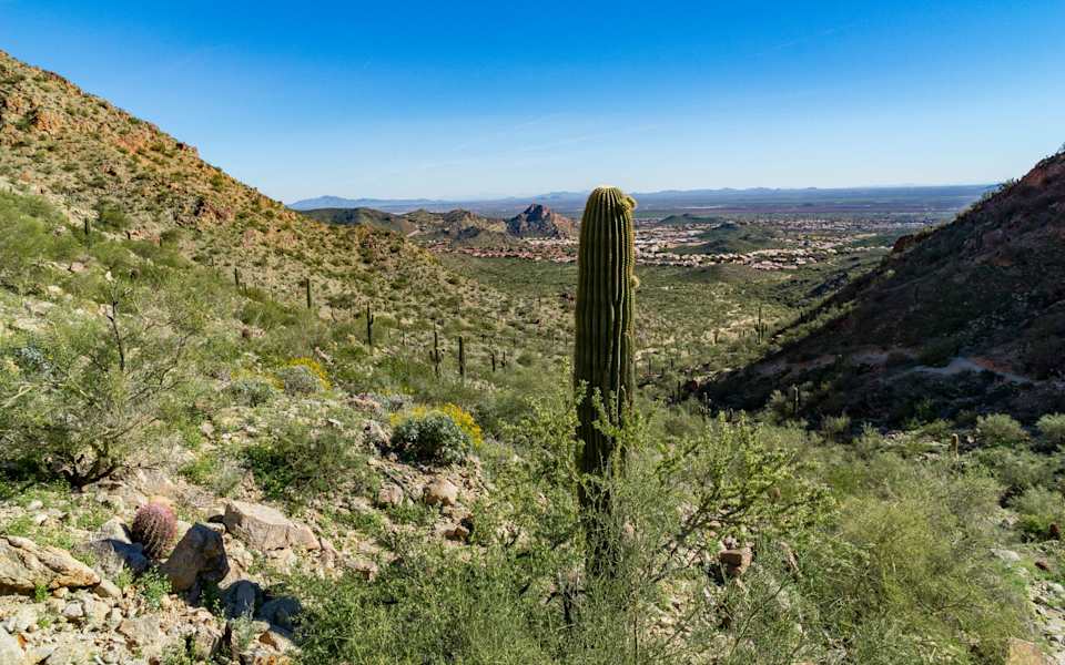 Ahwatukee | Neighborhood Guide