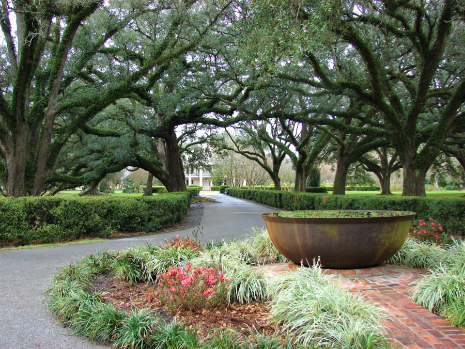 Rice Museum District | Community Guide | Megan Cardet | Haute ...