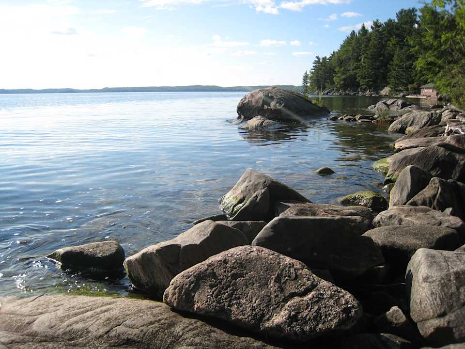 Shore Road Allowance - Short Term Rental l The Janssen Group