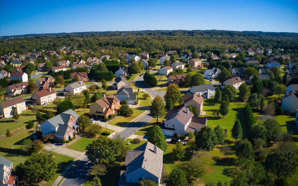 Canton | Neighborhood Guide