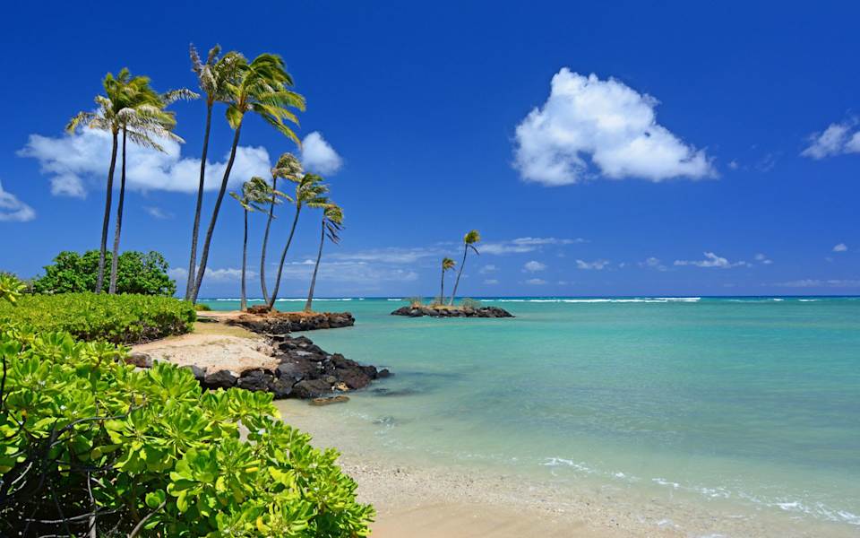 Kahala | Neighborhood Guide