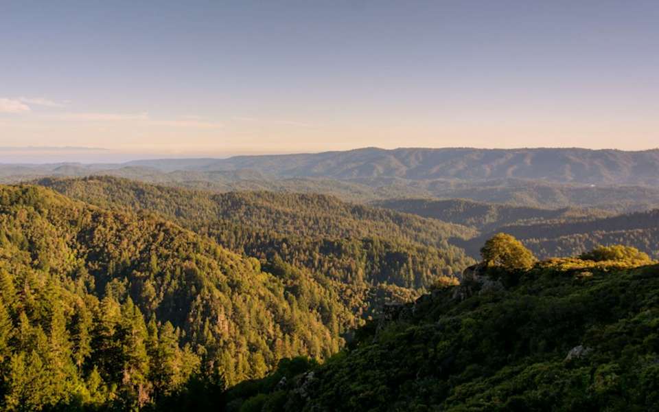 Architectural Landmarks in Los Gatos | Blog | Kelly Dippel | KDG Realty