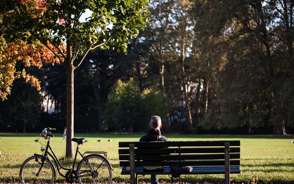Congress Park | Neighborhood Guide