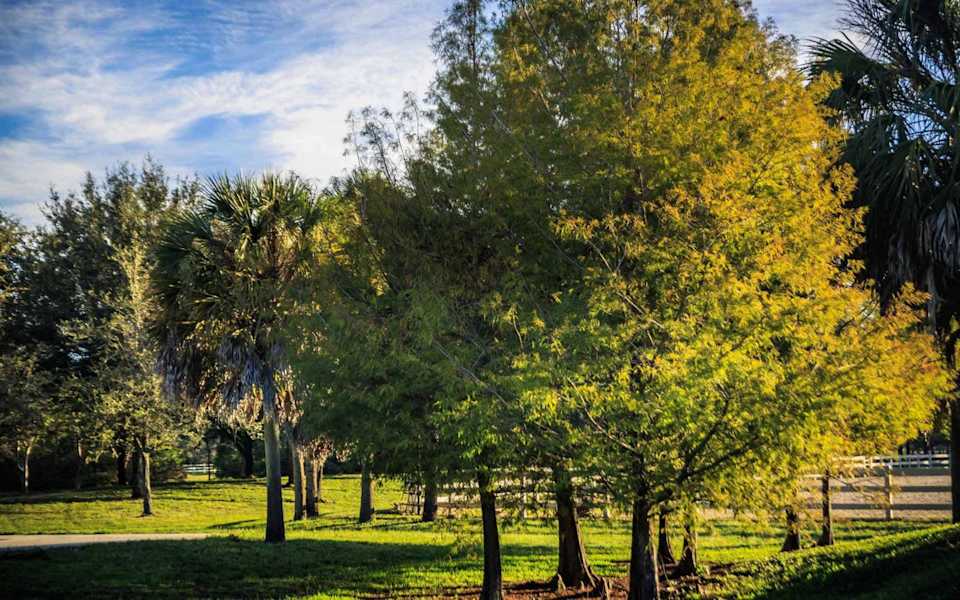 Southwest Ranches | Neighborhood Guide