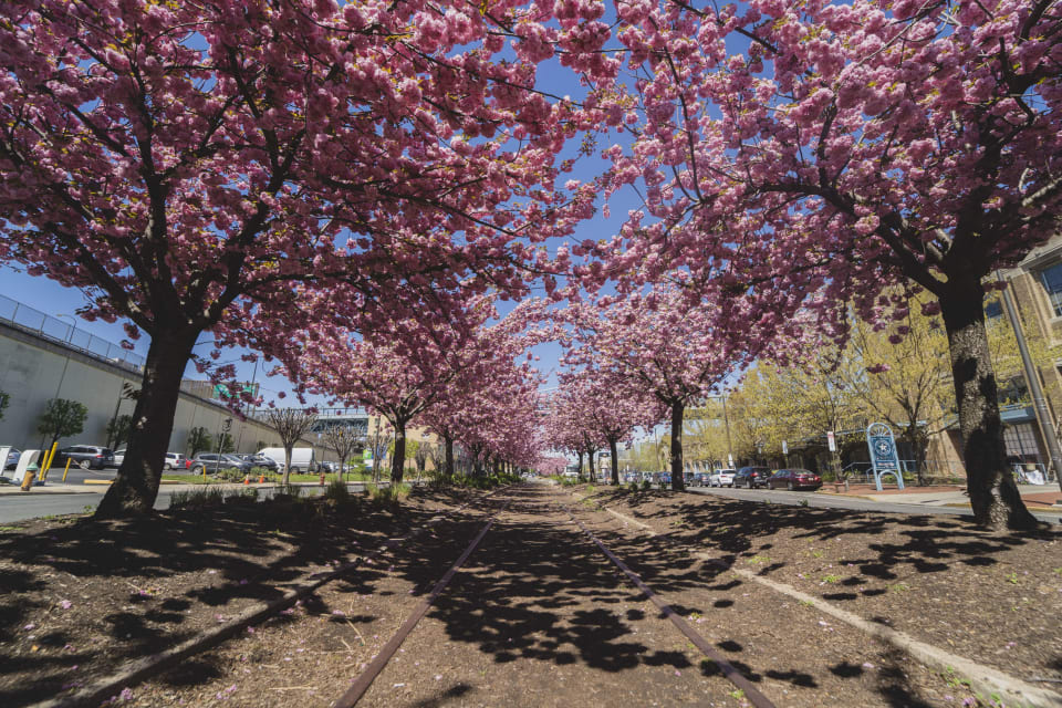 Northern Liberties | Philly Neighborhood Guide | MUVE PHL