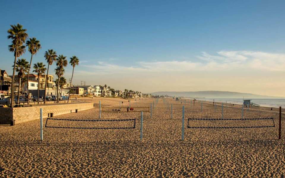 Manhattan Beach Tree Section