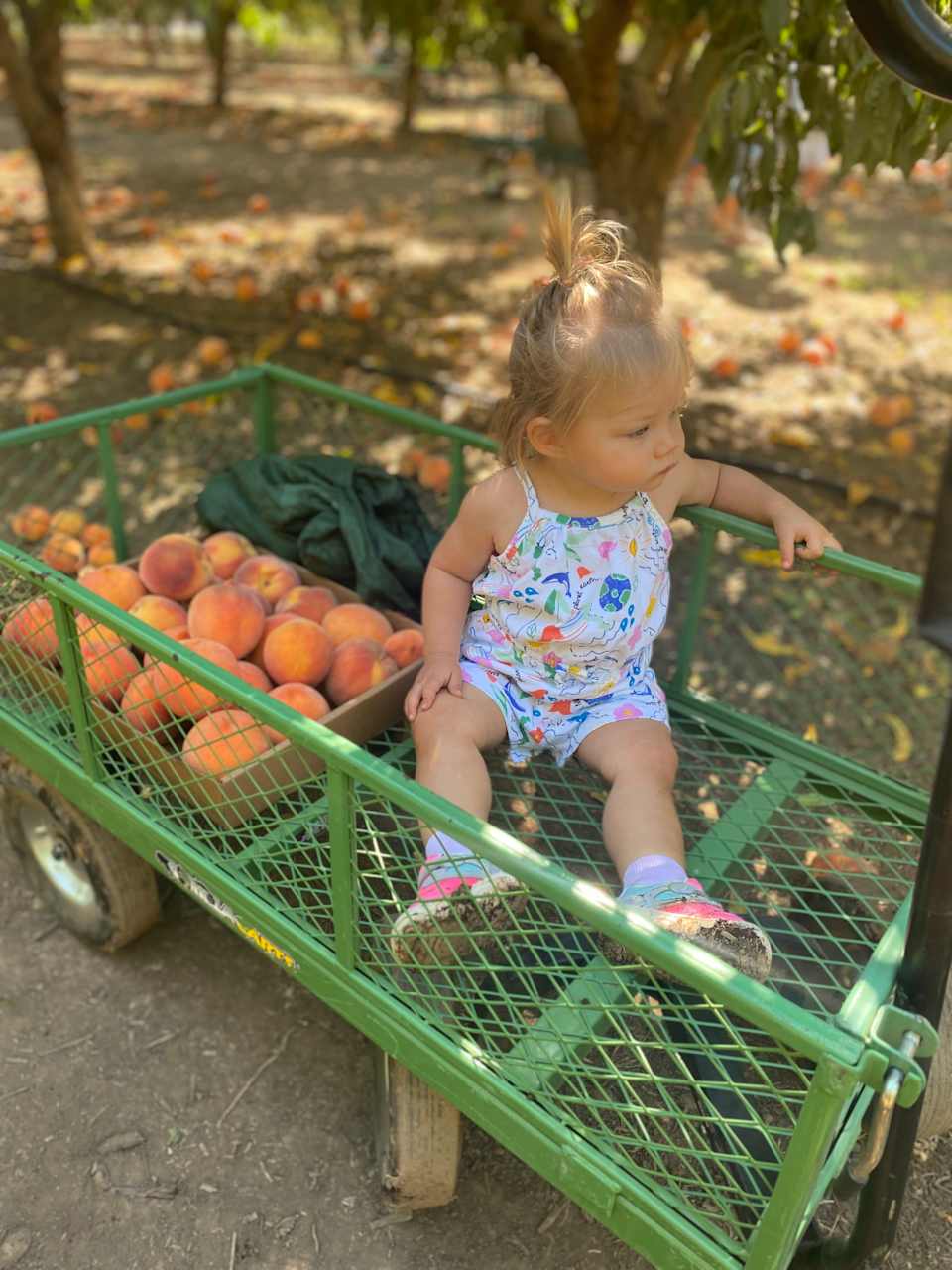 Summer Activities With Kids - Chico, CA