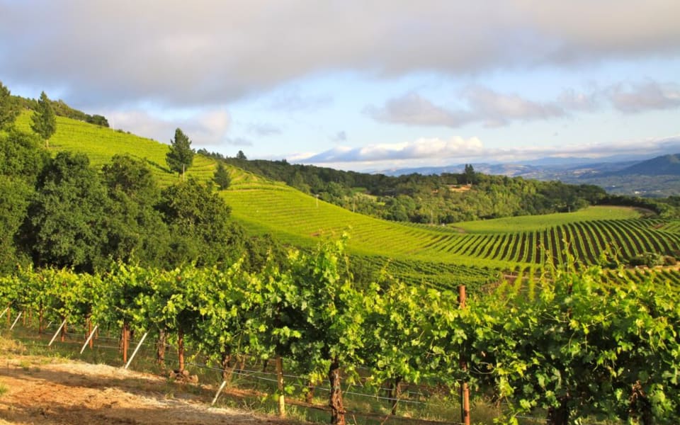 Three Reasons People Love Living in Sonoma Valley