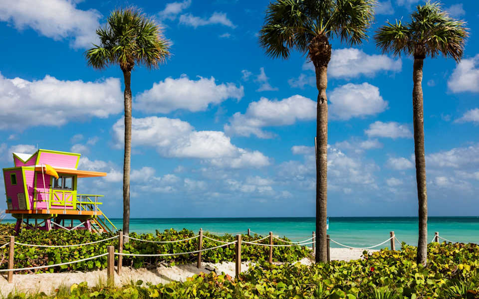 Miami Beach | Neighborhood Guide