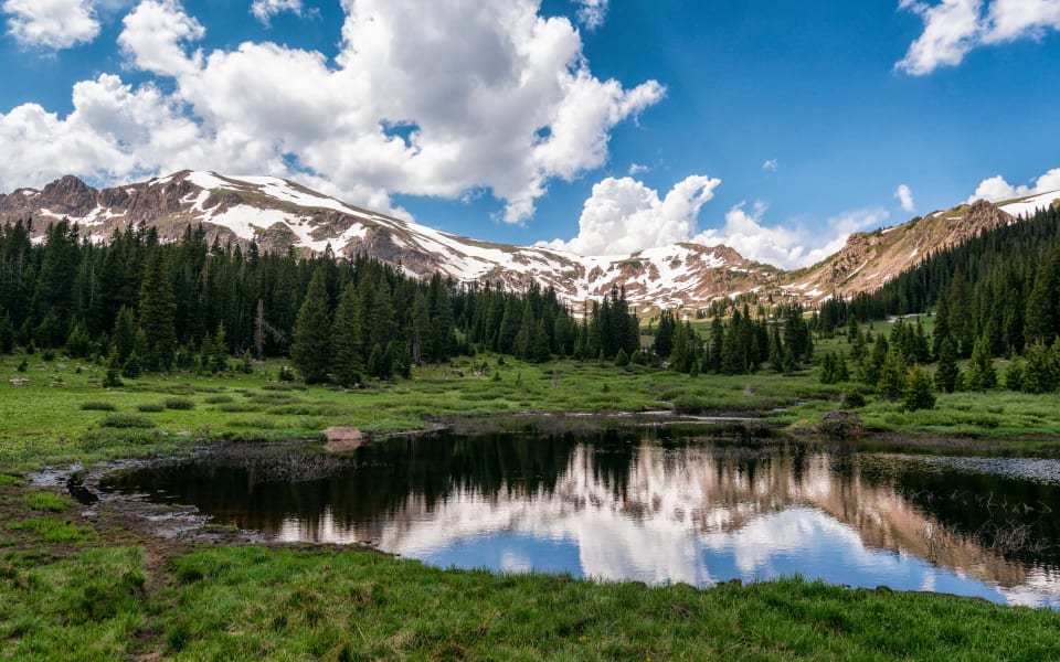 Highland, Denver, CO Real Estate & Homes for Sale | The Fox Group