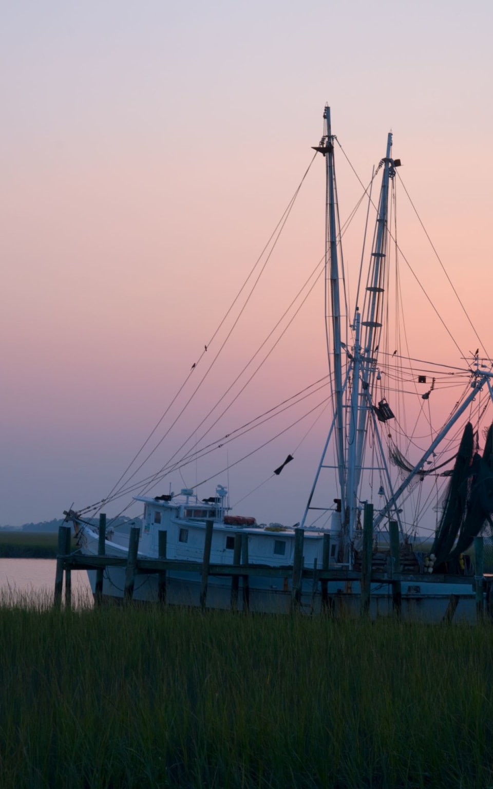 Awendaw/McClellanville/Huger | Neighborhood Guide | The Suzy Kopp Team