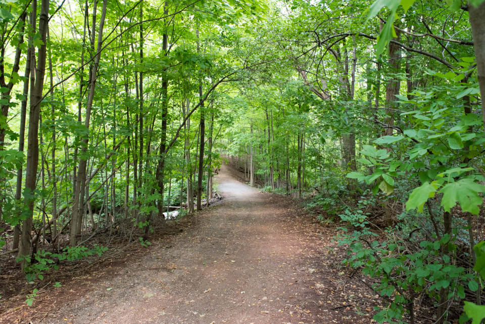 College Park Neighborhood Guide | Goodale Miller Team