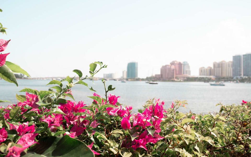 Boca Raton, FL | Neighborhood Guide | Jamie Silverman