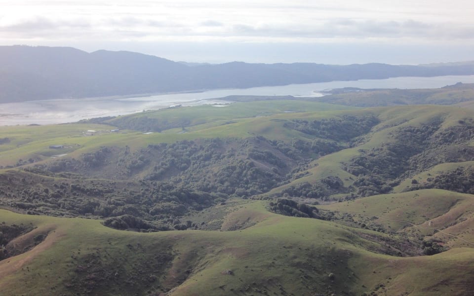 Martinelli Ranch | Peter Maselli