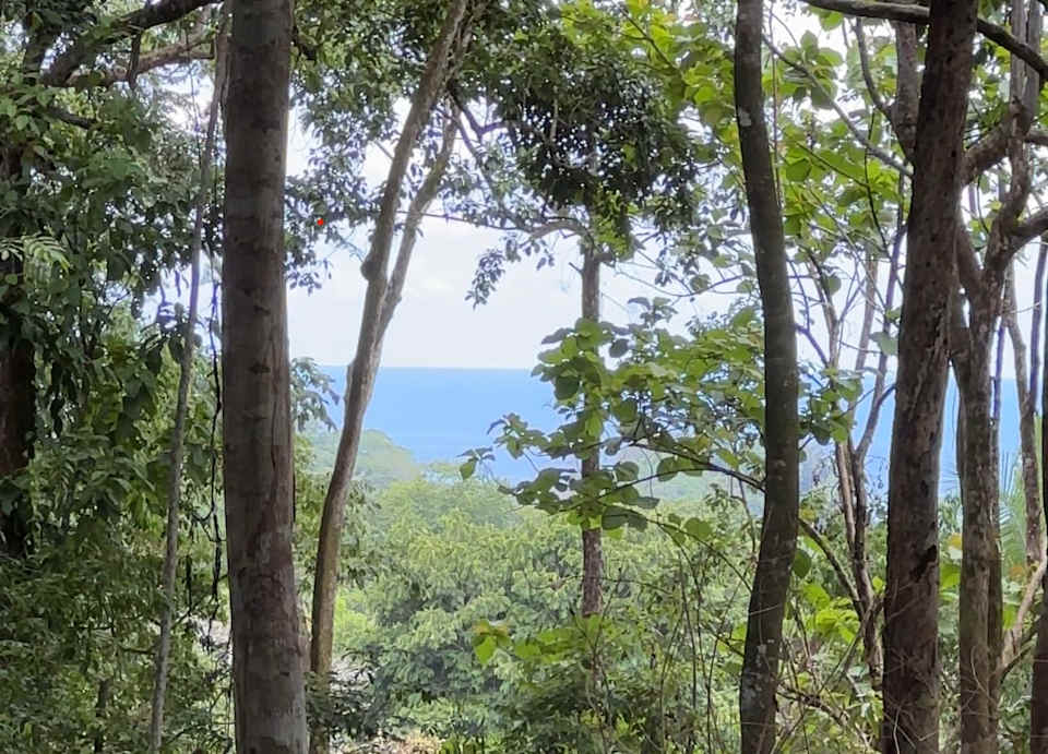 Tranquil Oasis: 8.8 Acres of Pristine Paradise in Dominicalito, Costa Rica