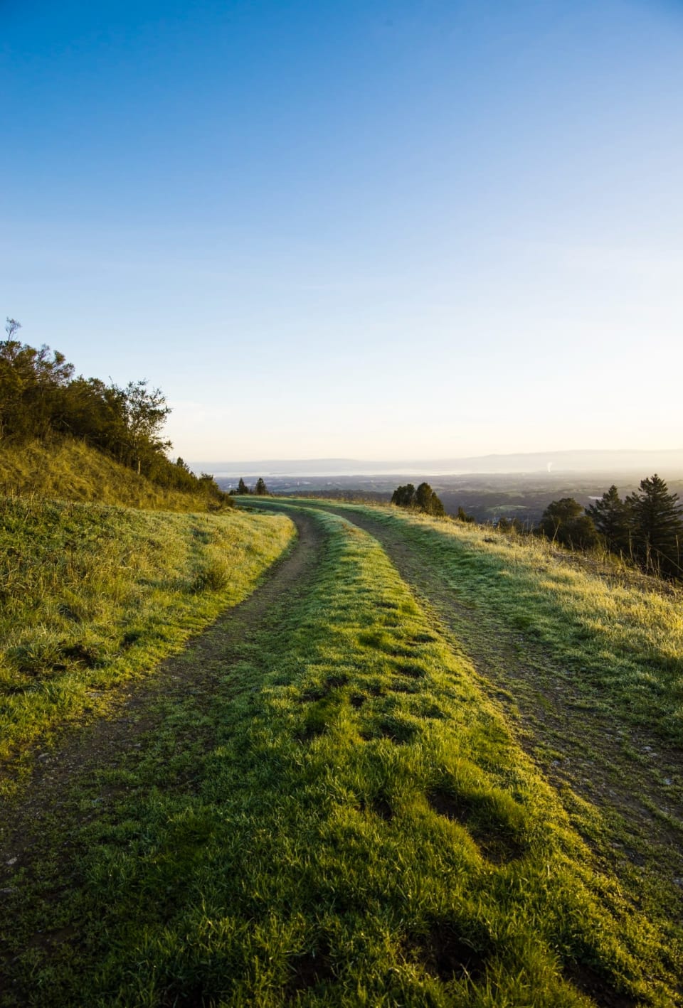 Central Valley | Neighborhood Guide