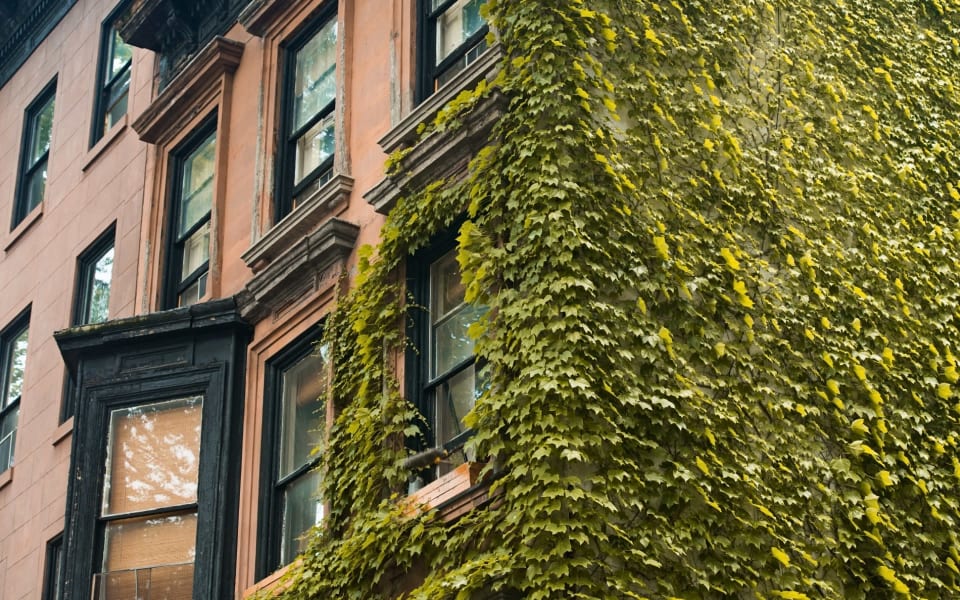 Properties | Isaac Rosenberg | New York & South Florida Real Estate Agent