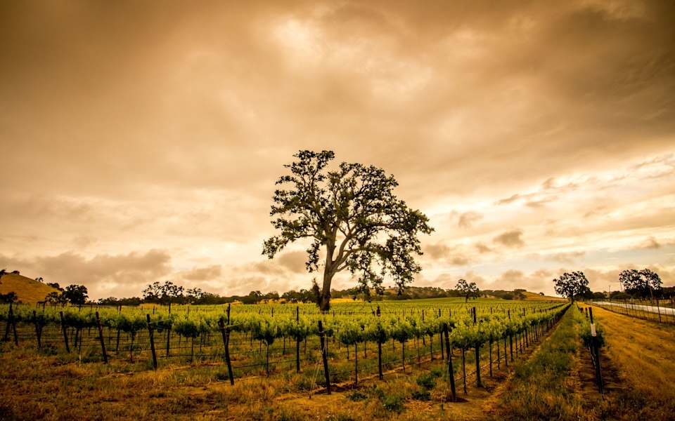 Living in Templeton, CA: Neighborhood Guide | Robert Sousa