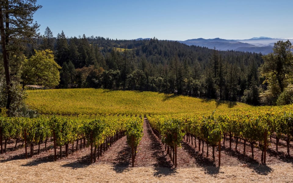 Angwin Real Estate | Homes for Sale in Angwin, CA | Napa Valley & St ...