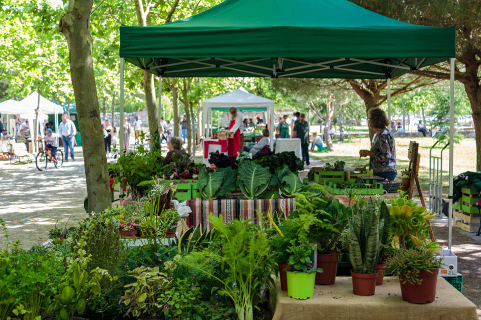 7 Must Try Farmers Markets in Atlanta! | Jessica Li & Co.