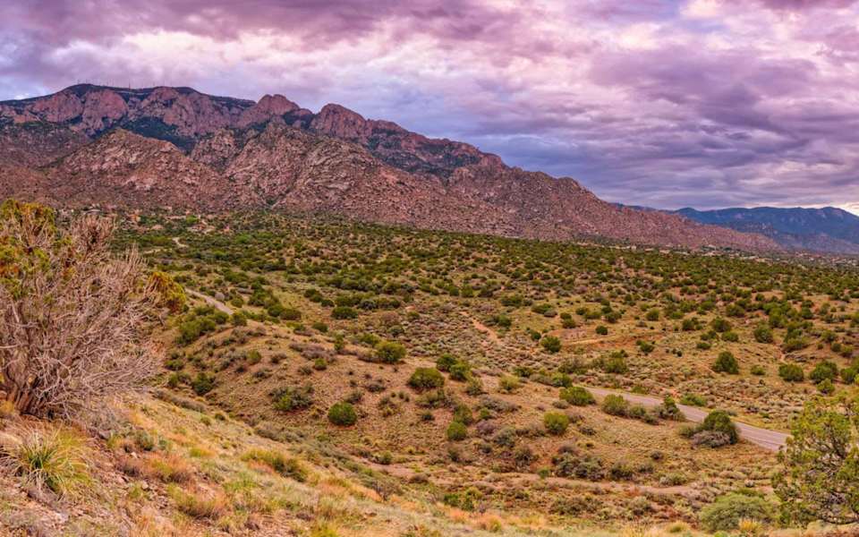 Pinyon Crest - Moving Results Realty