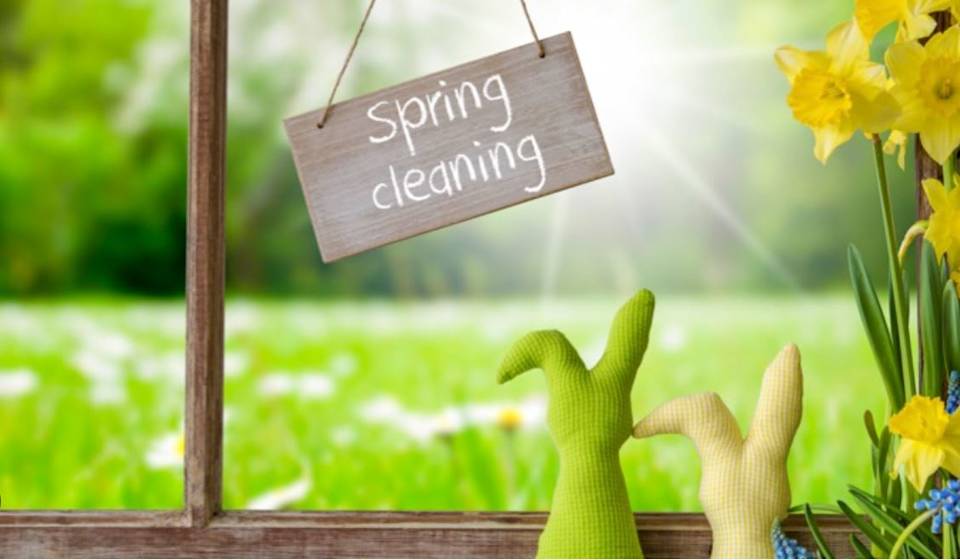 15 Spring Cleaning Tips | Susan Ward