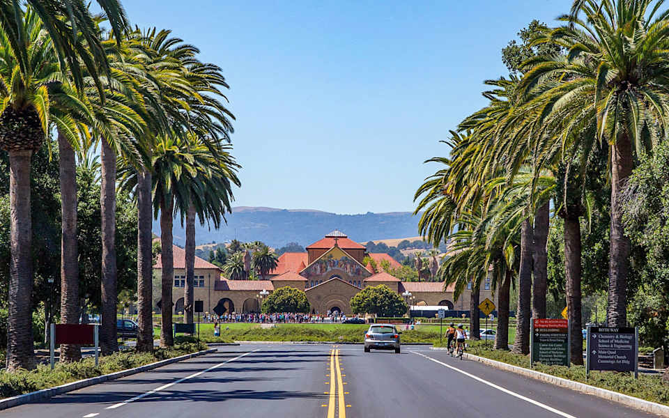 Experience the Palo Alto - Vibrant Neighborhoods
