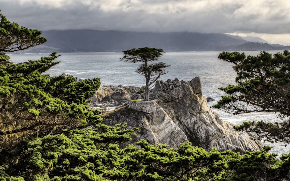 The 17-mile Drive: A Scenic Tour of Pebble Beach's Coastal Beauty ...