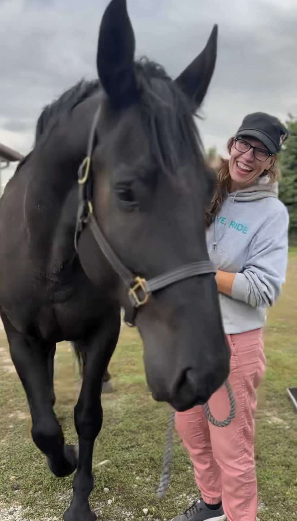 cari ann carter group, real estate story, equestrian center, real ...