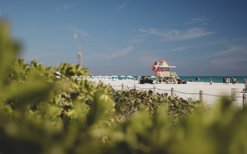 Neptune Beach Real Estate | Area Guide | Bright Bishop Group