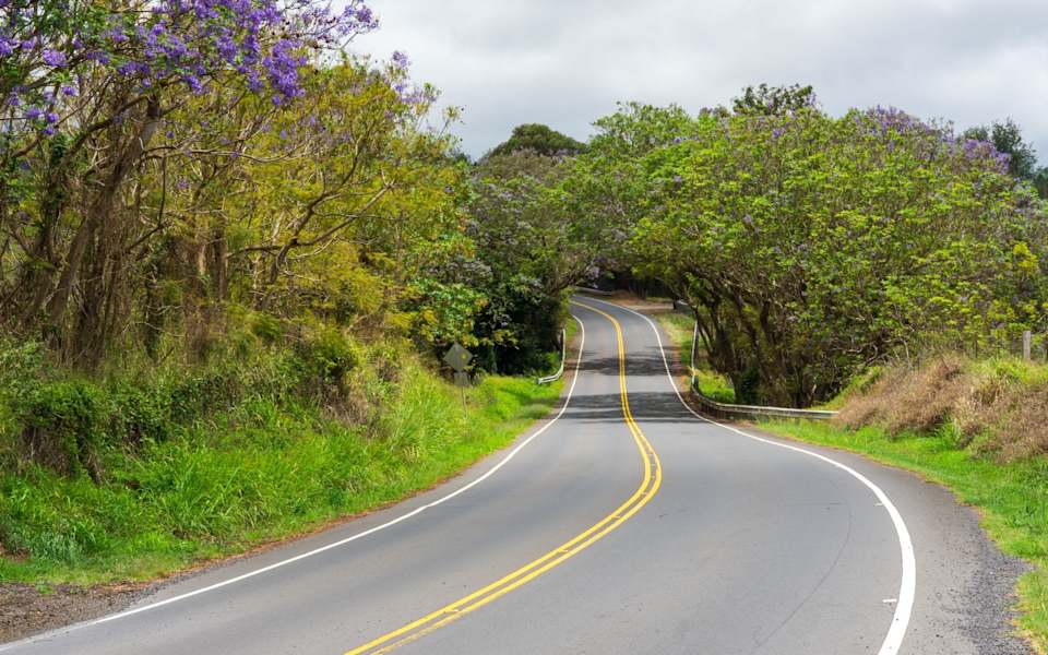 Upcountry | Community Guide