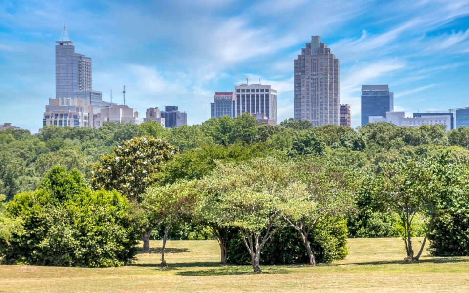 Raleigh Real Estate | Area Guide | Raleigh Homes for Sale