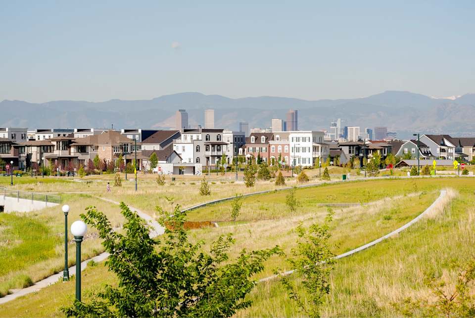 Central Park Community Guide | Bold Moves Team