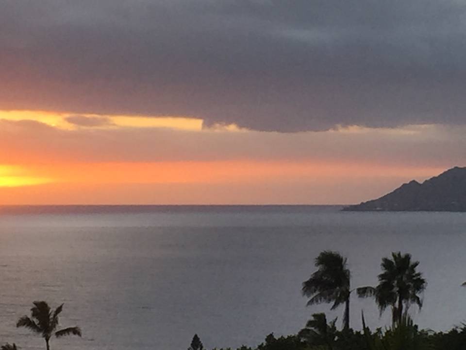 Portlock | Neighborhood Guide