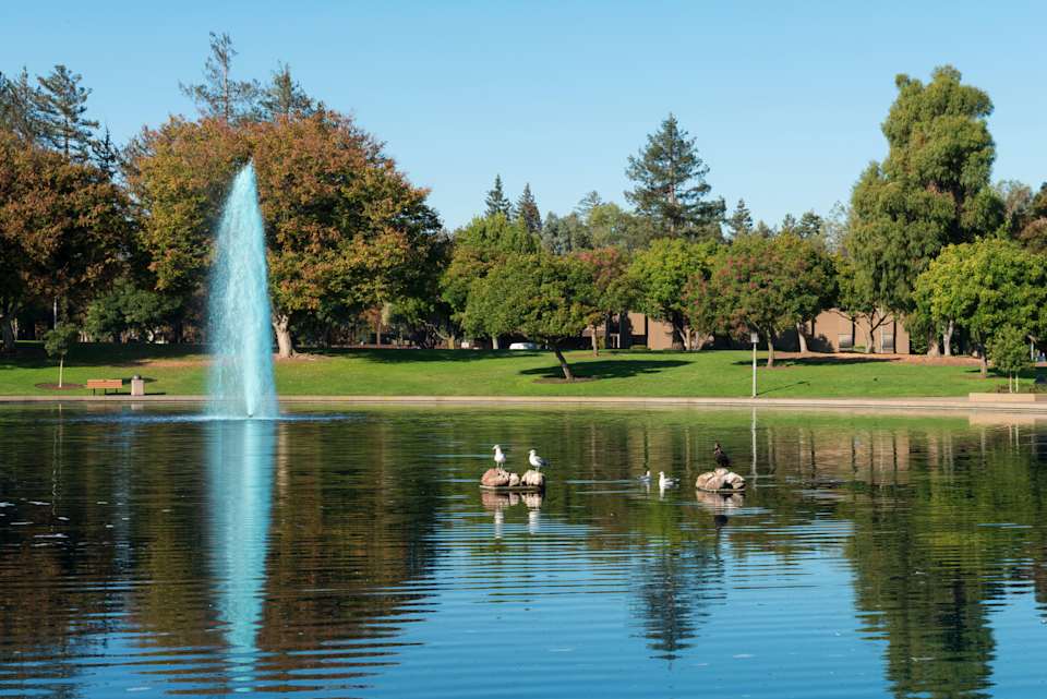 Sunnyvale | Neighborhood Guide