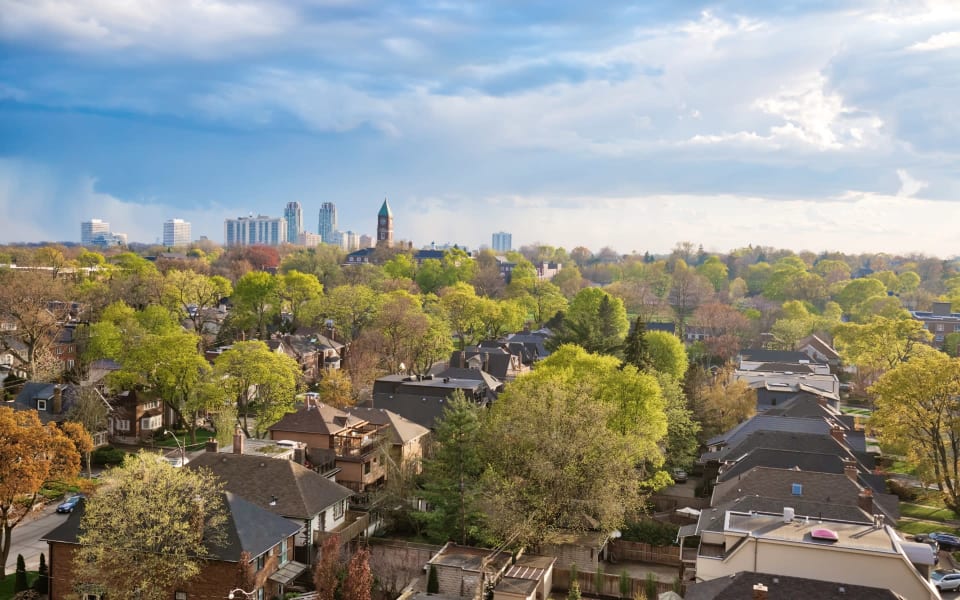 Forest Hill Community Guide | Fasullo / Crigger & Associates