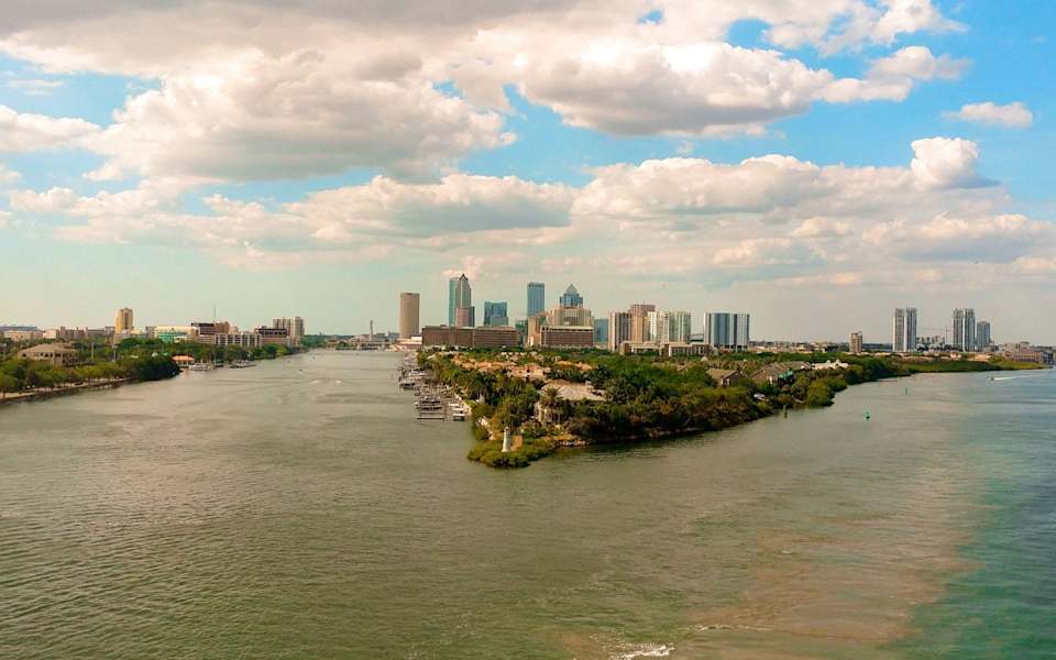 8 Reasons to Relocate to Davis Islands | The Sails Team