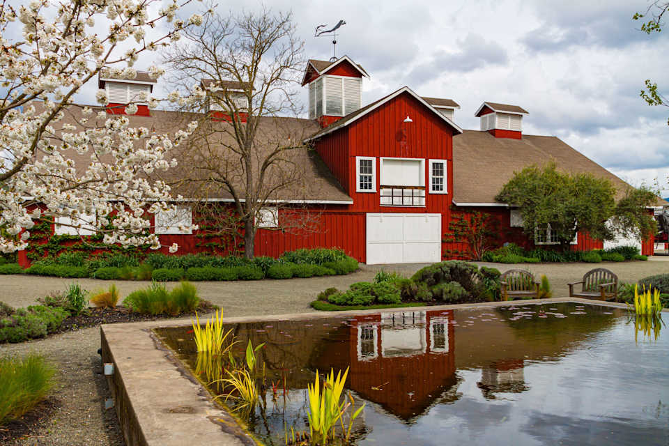 Rutherford | Community Guide | Napa Tracy Style